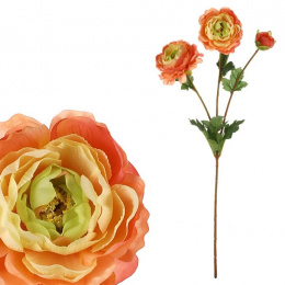 Ranunculus - umělá řezaná květina, meruňková barva - Nábytok Pegas