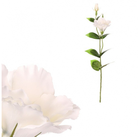 Eustoma - umělá řezaná květina, bílá - Nábytok Pegas