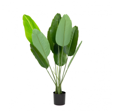 Umelá rastlina TROPICAL ZONE banánovník 90 cm 874203 - Nábytok Pegas