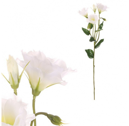 Eustoma - umělá řezaná květina, krémová - Nábytok Pegas